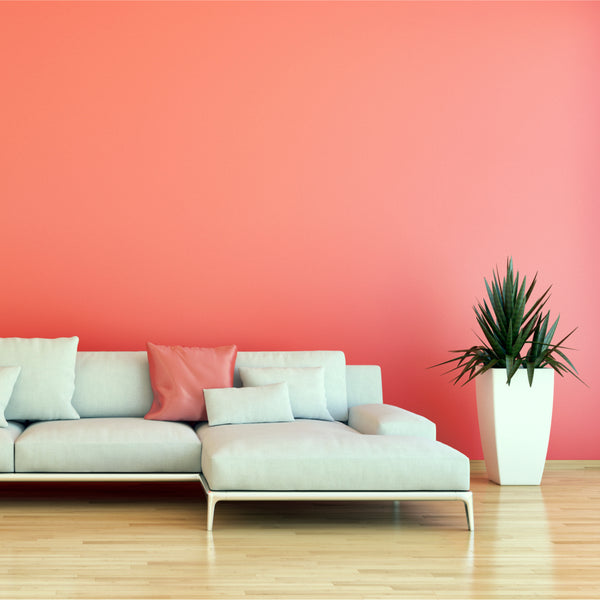 Pink Paint | Coralina No. 65 | Eco-Friendly Paint