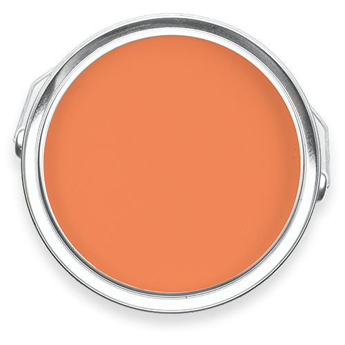 Orange Paint | Spiced Marmalade | Eco Paints